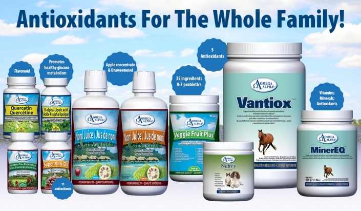 Omega Alpha Store CA – Effective Supplements Through Science