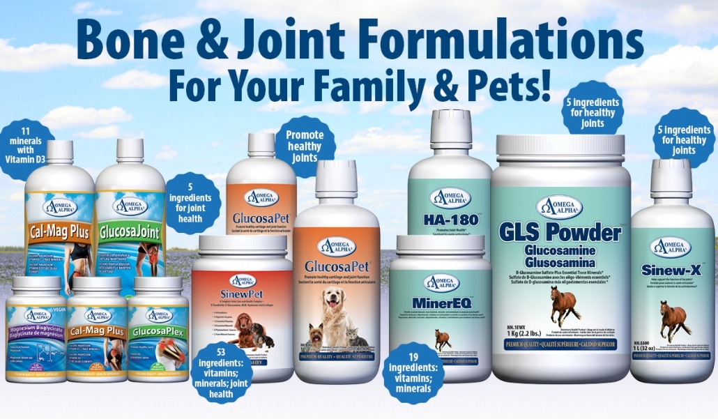 Omega Alpha Store CA – Effective Supplements Through Science