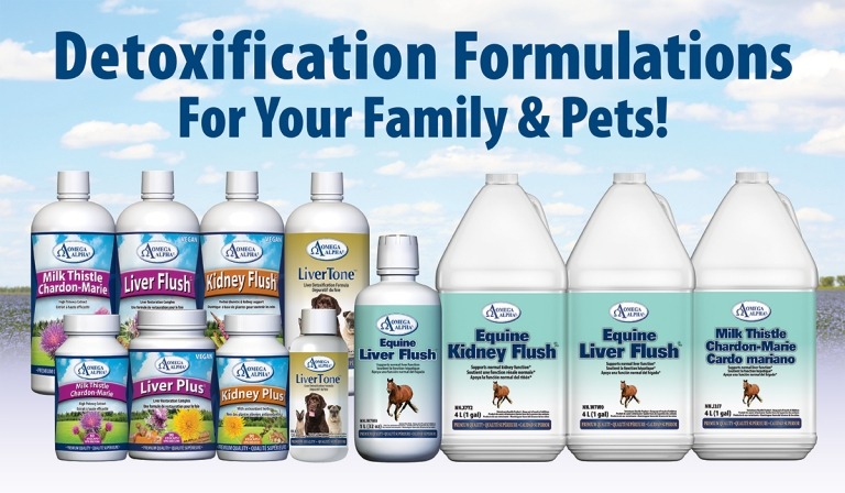 Omega Alpha Store CA – Effective Supplements Through Science