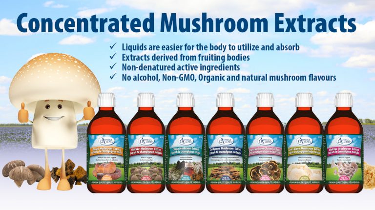 Omega Alpha Store Ca Effective Supplements Through Science